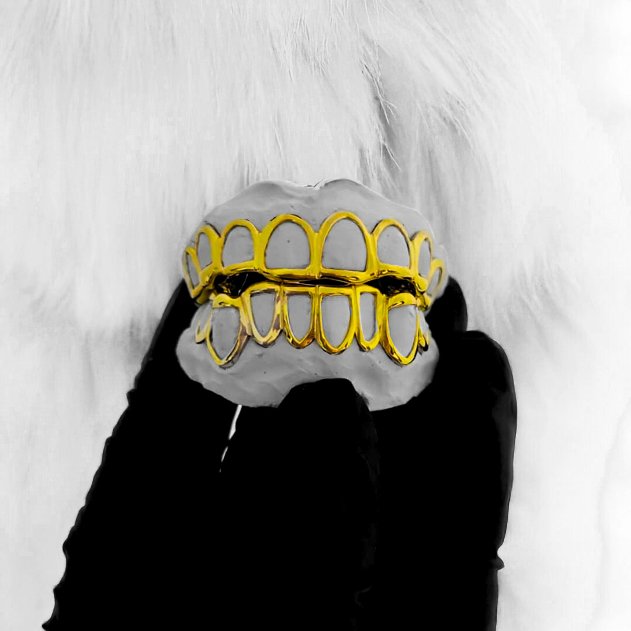 2 PIECE CUSTOM SILVER TEETH GRILLZ – HC Grillz