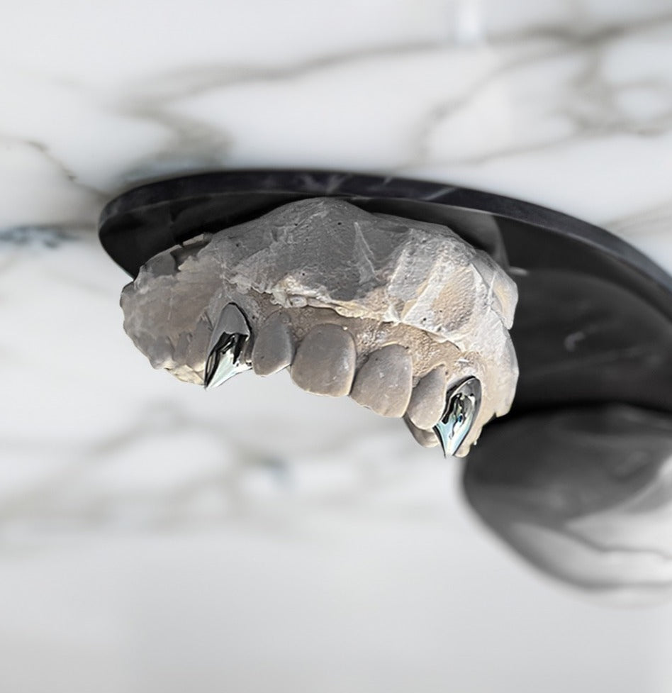 Collections – HC Grillz